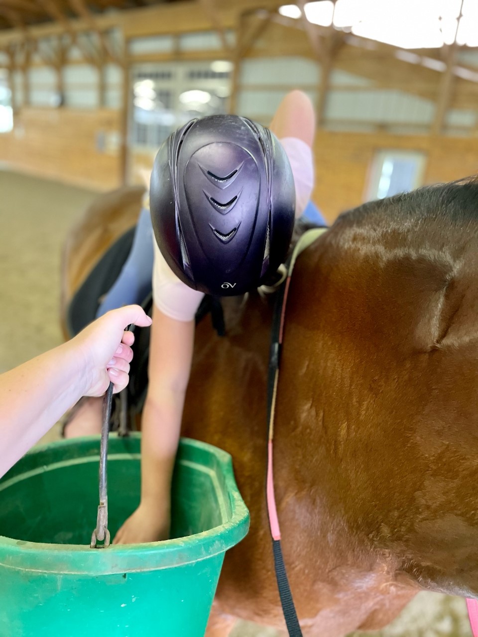 maja-scooping-water | Blue Ridge Center for Therapeutic Horsemanship
