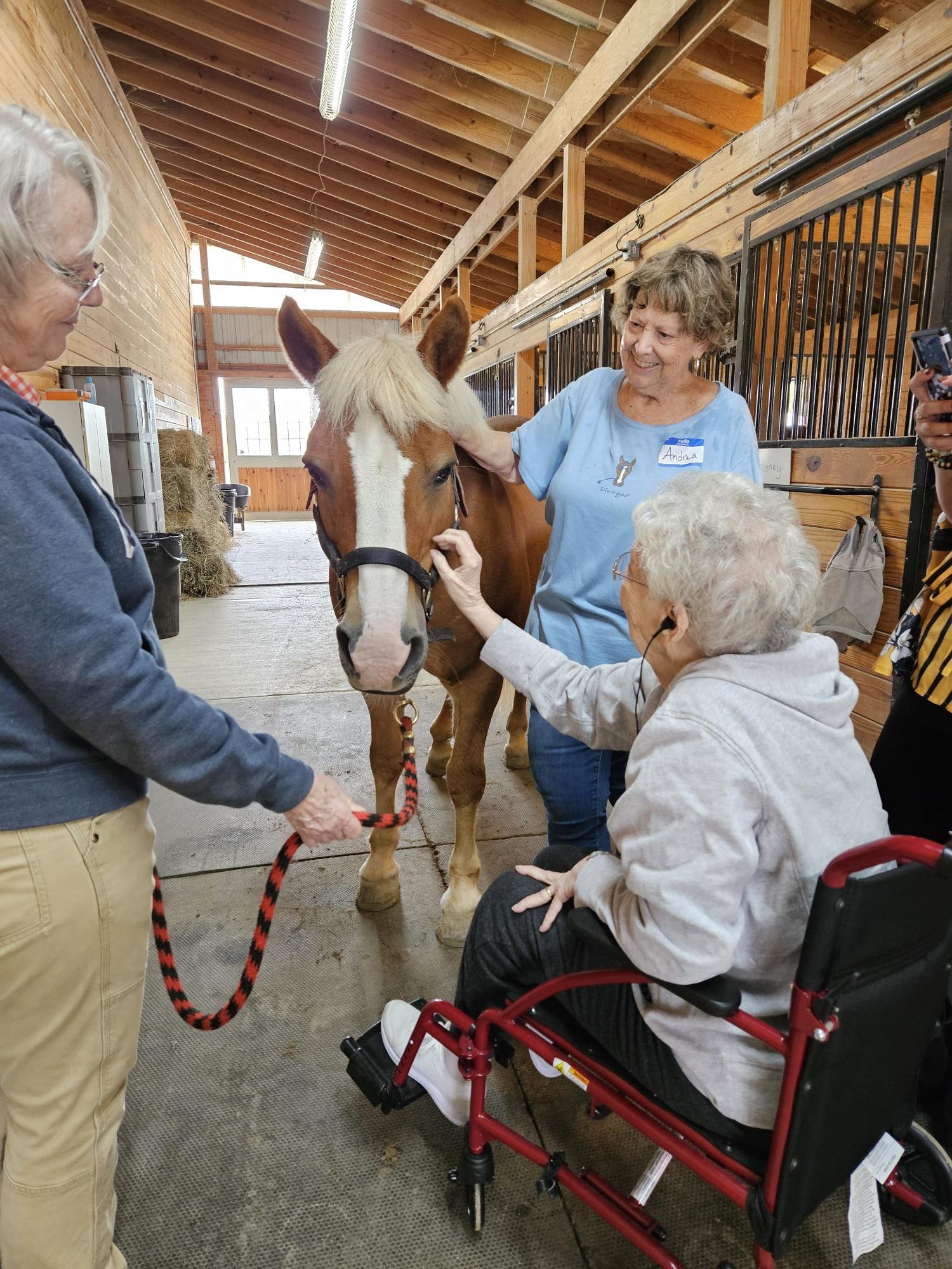 2024 Fall photo with Honey | Blue Ridge Center for Therapeutic Horsemanship