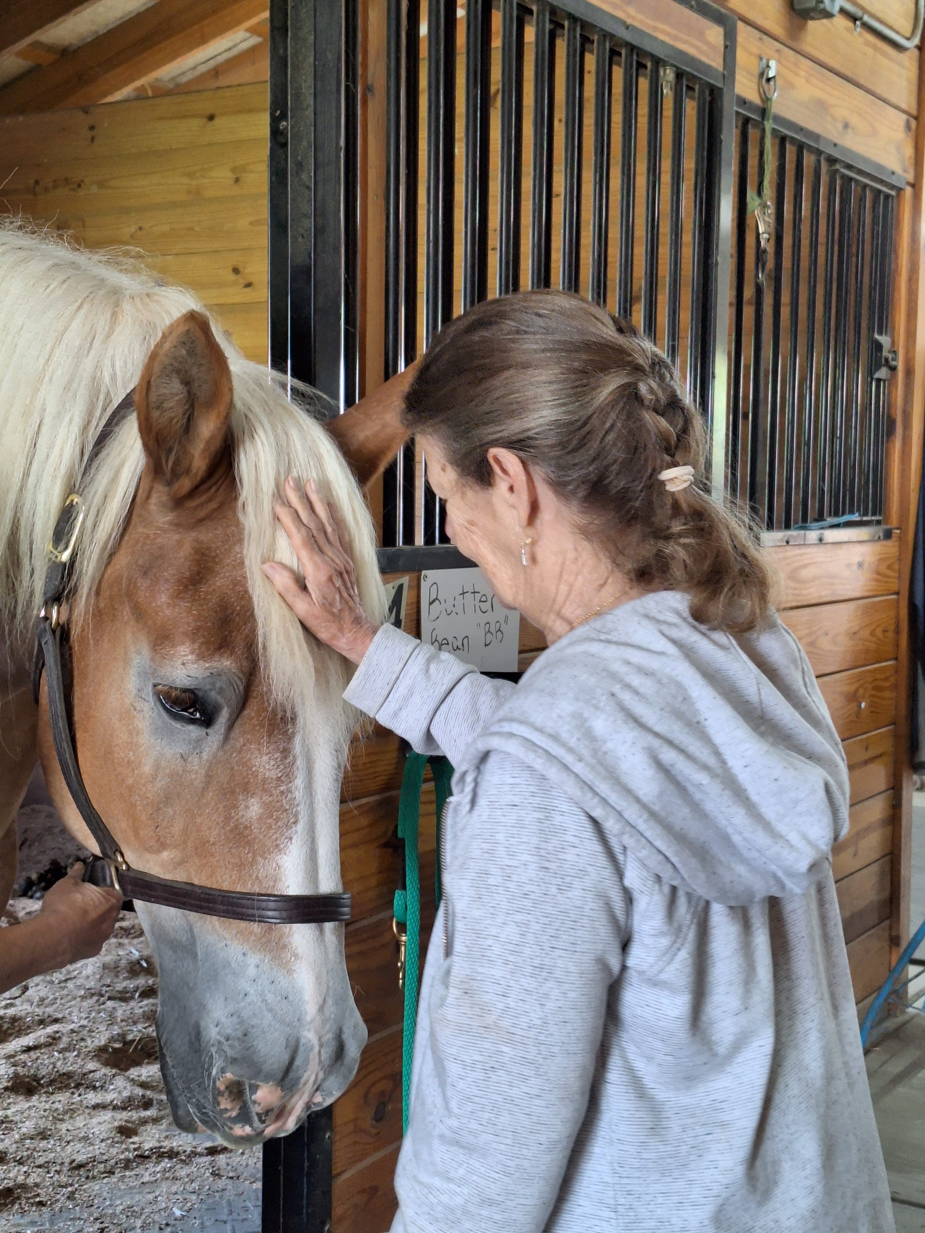Elizabeth patting BB | Blue Ridge Center for Therapeutic Horsemanship
