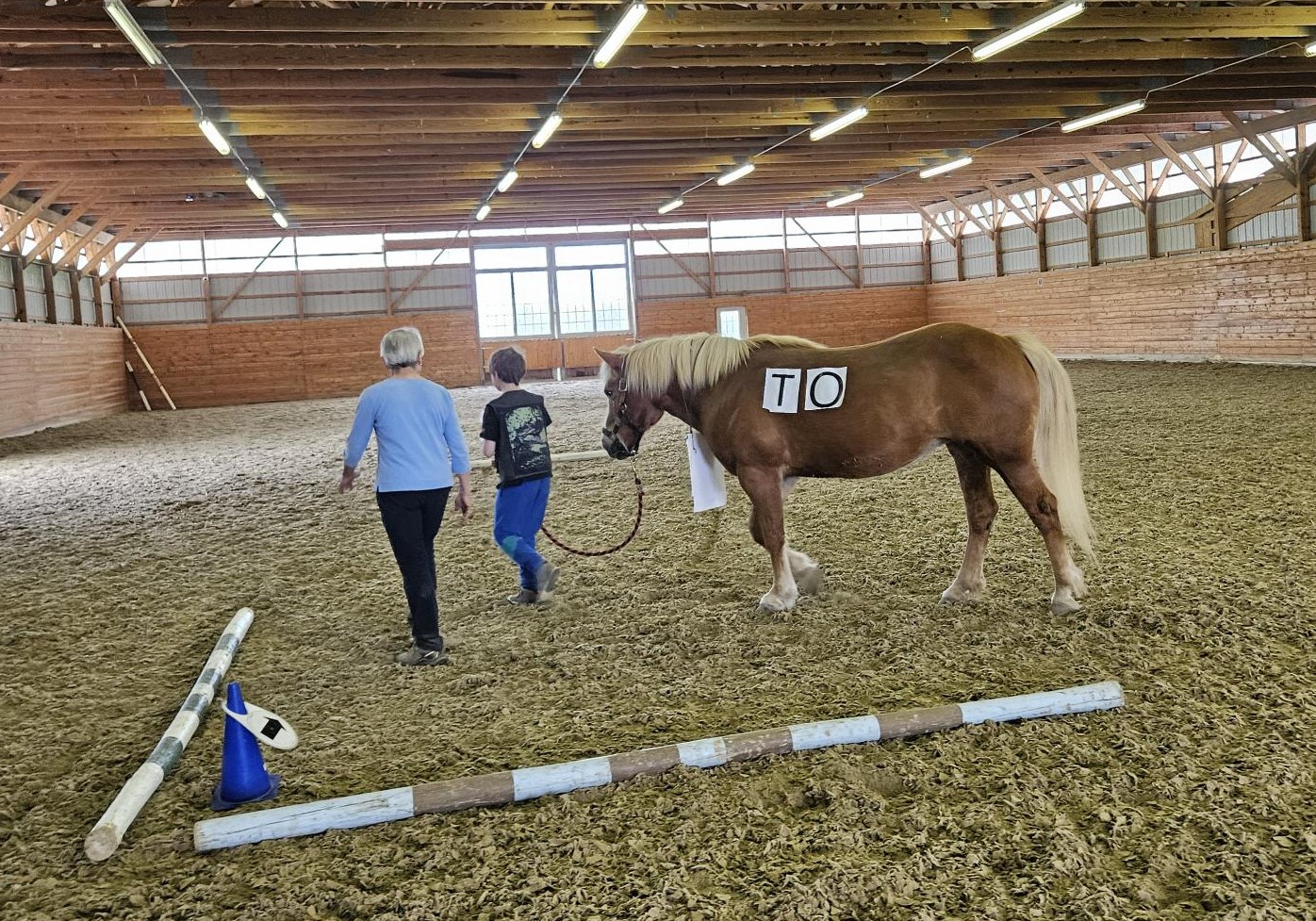 Wyatt leading honey HPR | Blue Ridge Center for Therapeutic Horsemanship